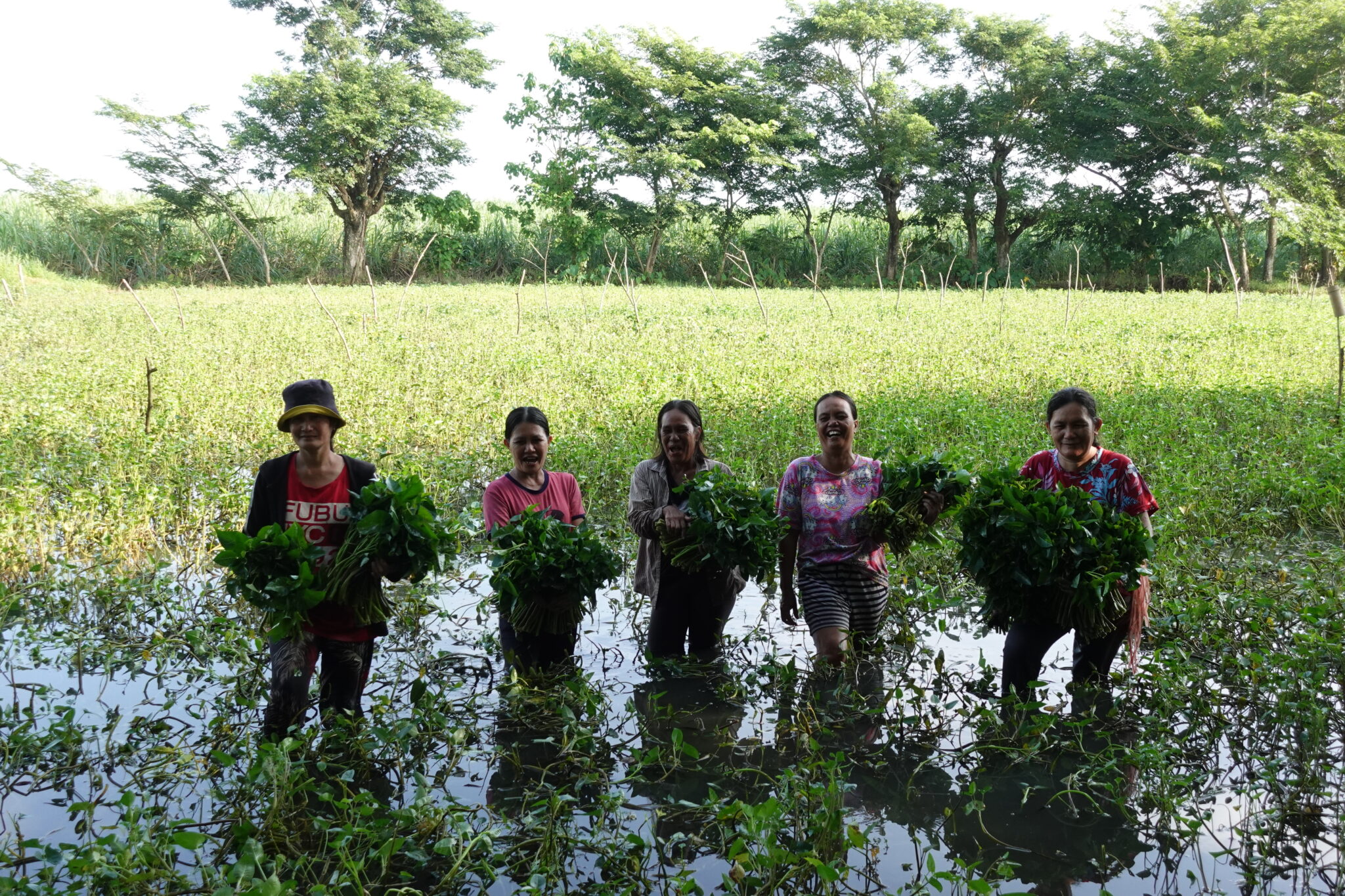 Understanding Livelihood Projects: A Practical Approach to Breaking the ...