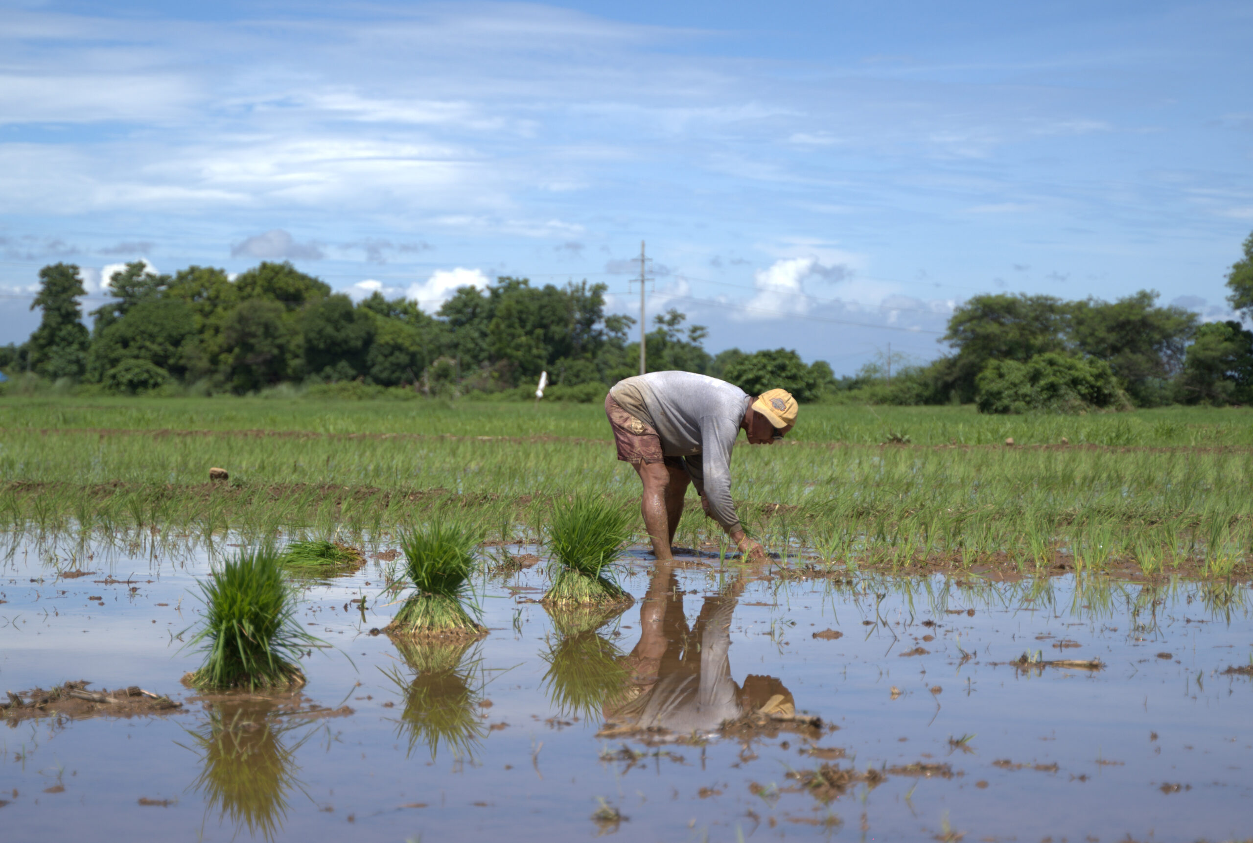 Second Chance for OFWs - How These Farmers are Rewriting their Story ...